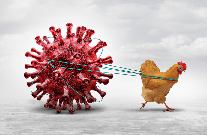 Challenges and Preparedness Strategies for Pathogenic Avian Influenza A ...