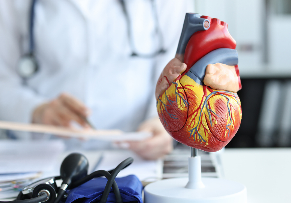 Revolutionising Coronary Calcium Scoring with Deep Learning