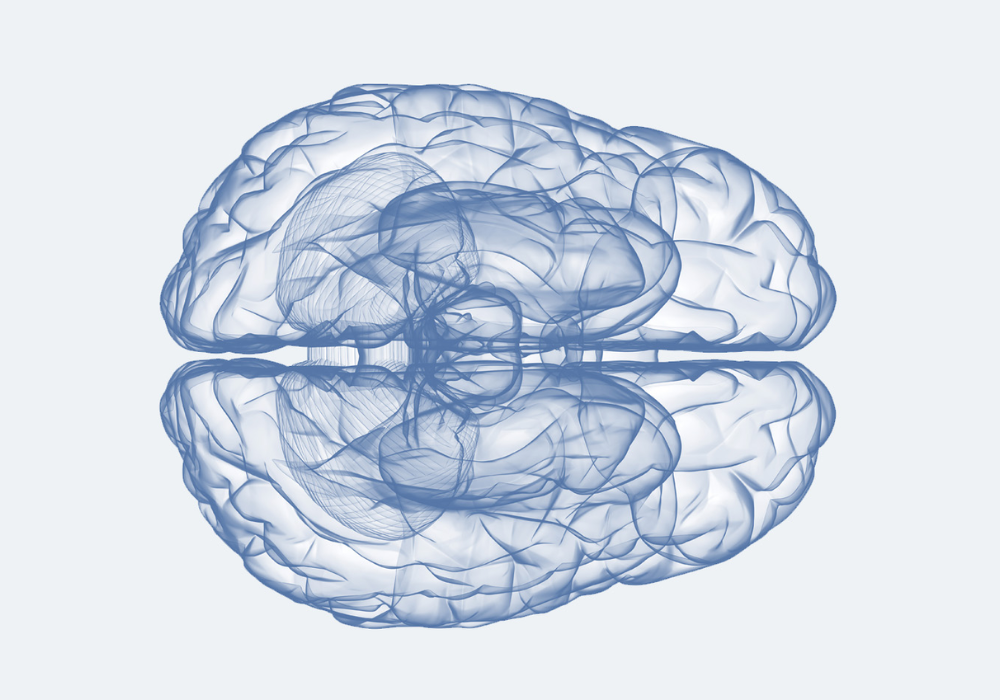 Predicting Brain Change from MRI