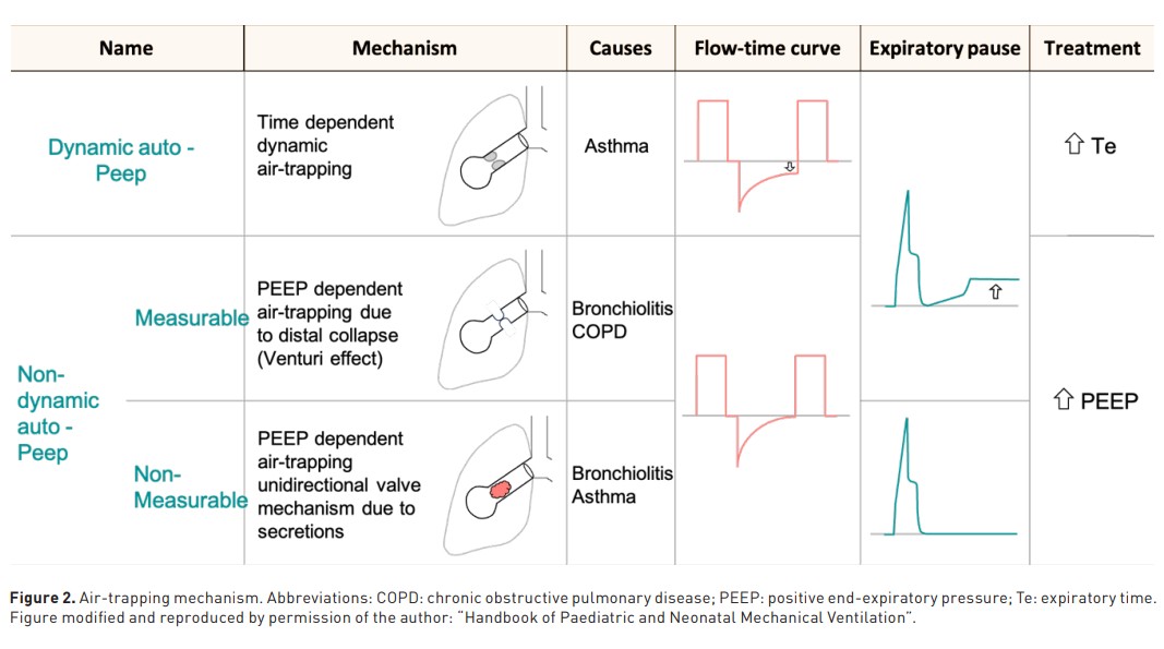 Status Asthmaticus: The Art of Ventilating