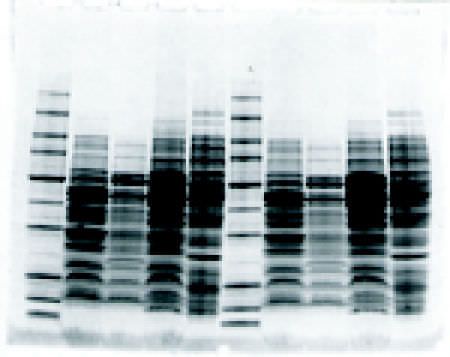 Promoting Management and Leadership - HealthManagement.org | Vertical ...