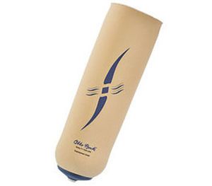 Promoting Management and Leadership - HealthManagement.org | Prosthetic ...