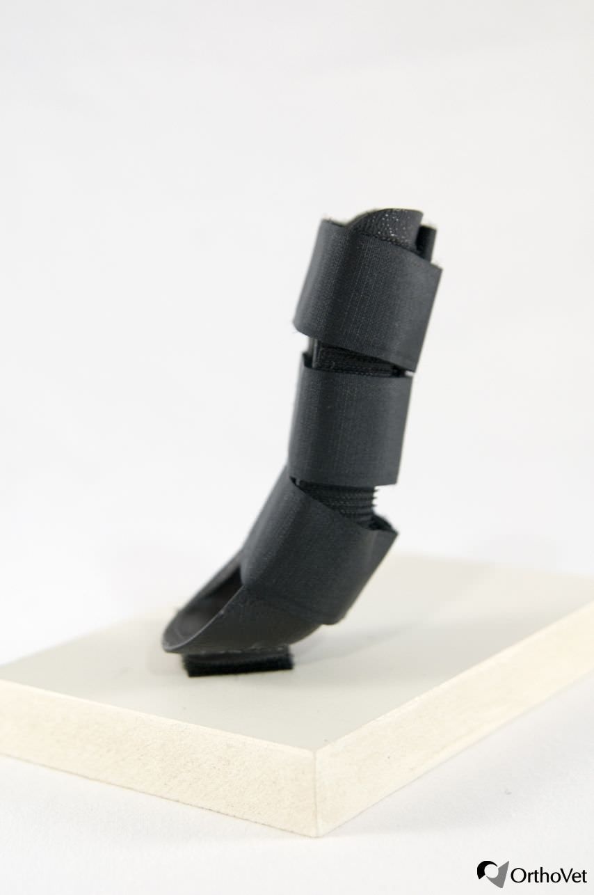 Promoting Management and Leadership - HealthManagement.org | Leg ...