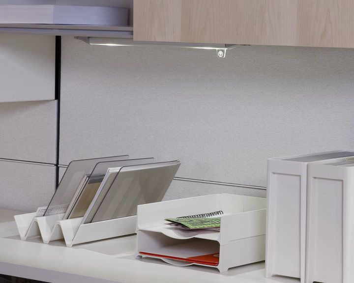 Health Management and Leadership Portal | Ceiling-mounted lighting ...